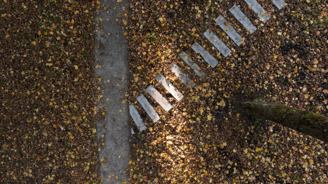 Park historie | ASB Portal