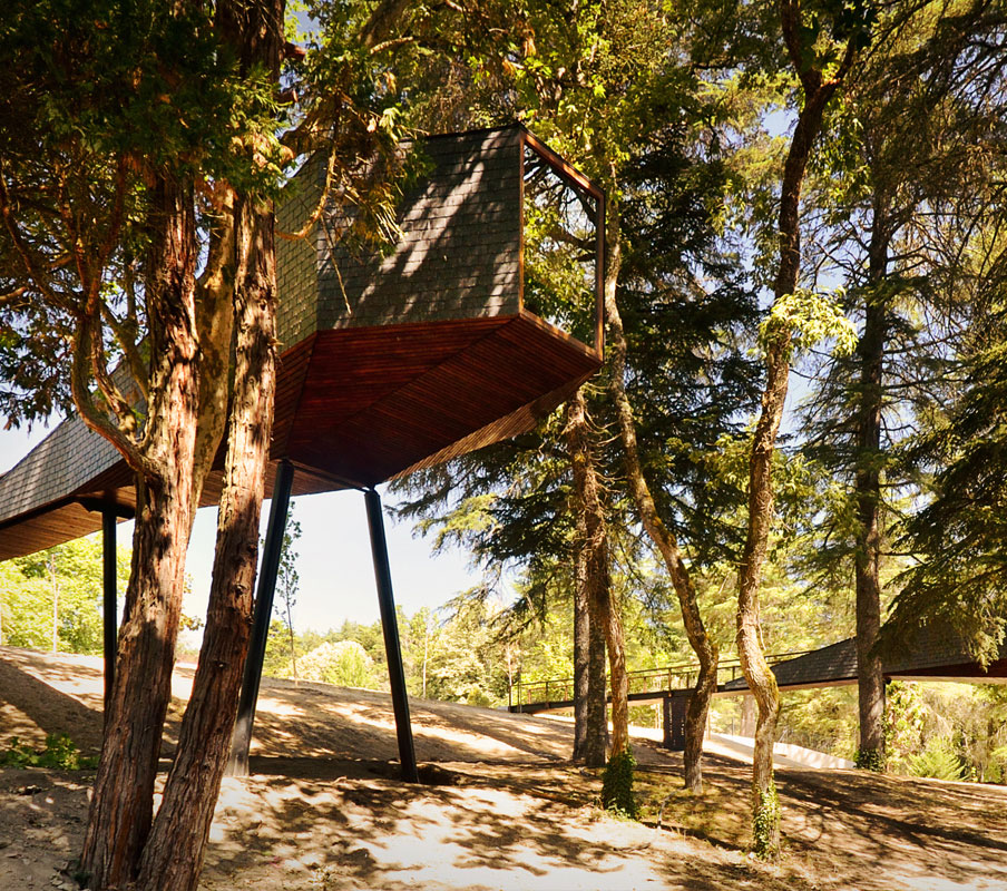 Tree Snake House - hadí dům proplétající se přírodou | ASB Portal